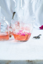 The Blurry Lime | ROSE SODA